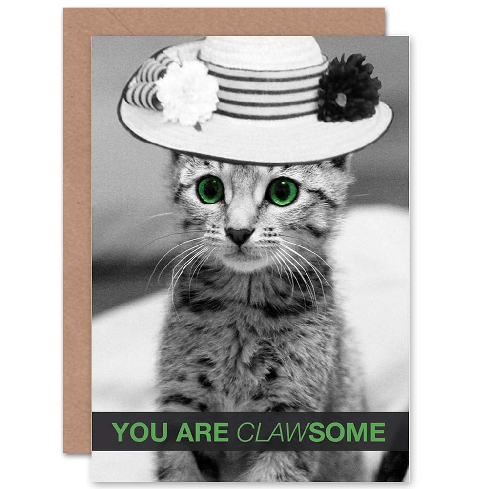 Friendship Cute Cat Hat Claw Awesome Greetings Card Plus Envelope Blank ...