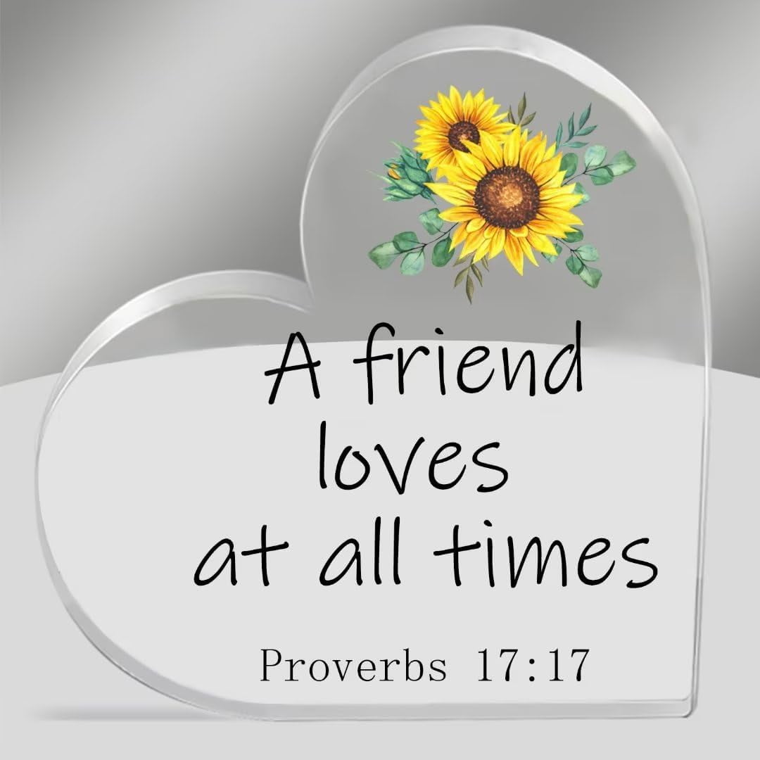 Friendship Gifts for Friend Sister Bestie BFF Friend Gifts for Coworker ...