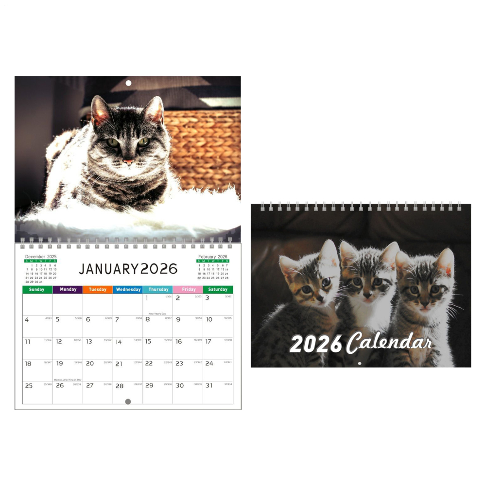Frifer 2026 Calendar 2026 Planner Wall Funny Calendar 12 Month Planner ...