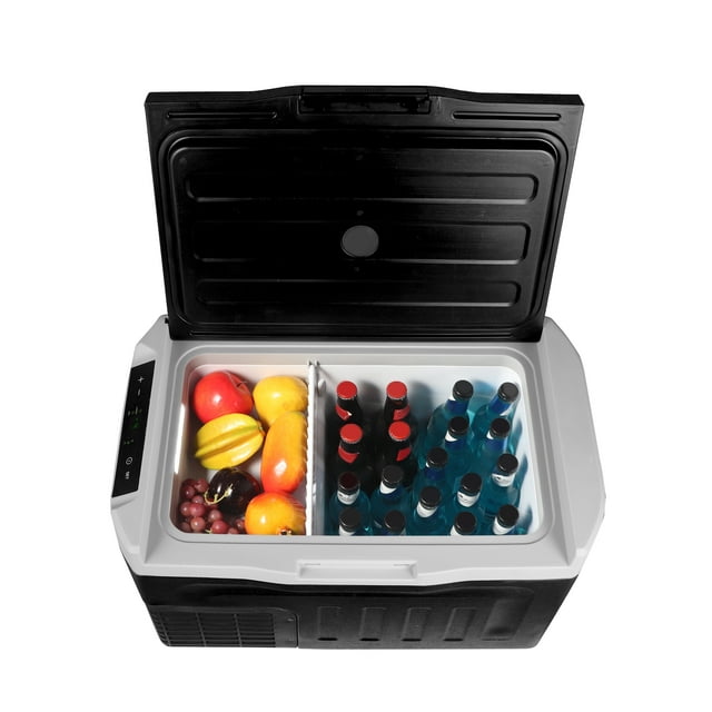 Frigidaire 20L Portable Convertible Electric Refrigerator/Freezer, 12V ...