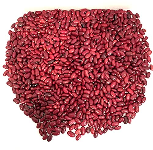 Frijoles rojos Honduras (Frijol rojo de seda) 100% (15 Libras ...