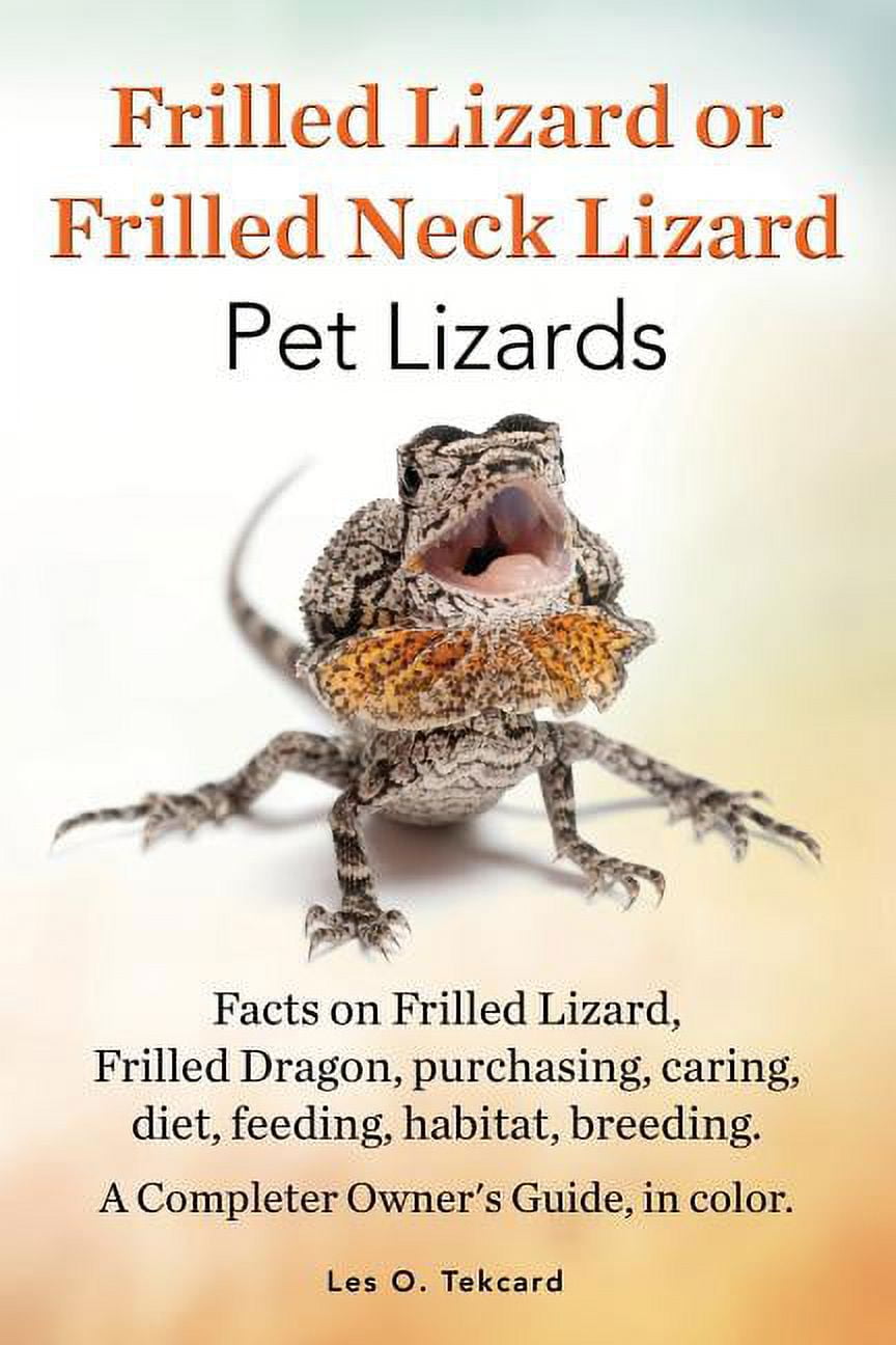 Frilled Lizard or Frilled Neck Lizard, Pet Lizards, Facts on Frilled ...