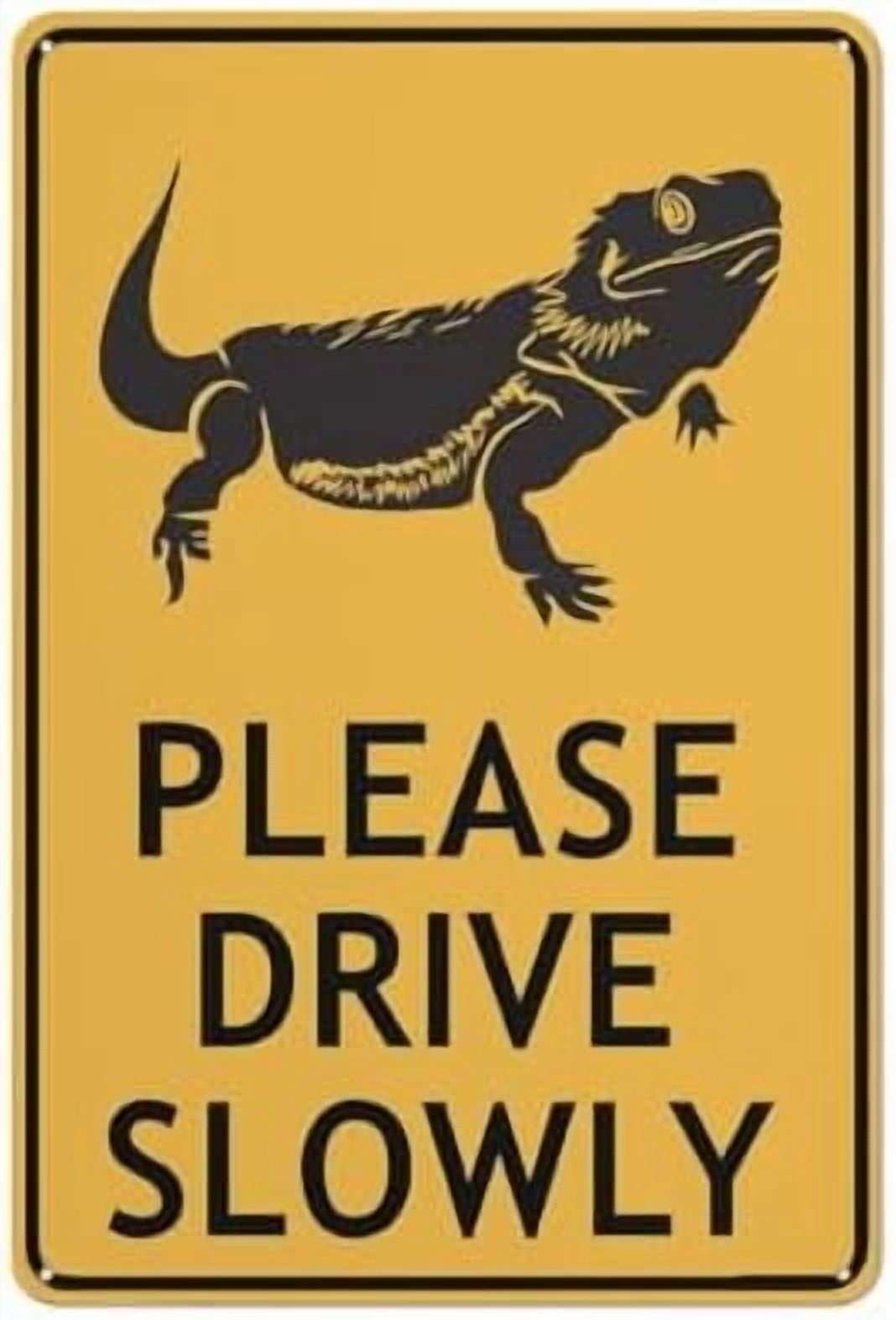 Frilled Neck Lizard Please Drive Slowly Sign Outdoor Metal Sign - 12 X ...