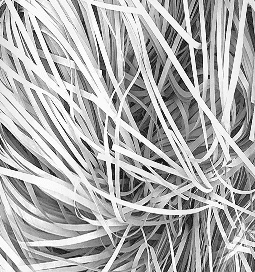 Frillz Back to School White Fine Cut Paper Grass, 1.25oz - Walmart.com