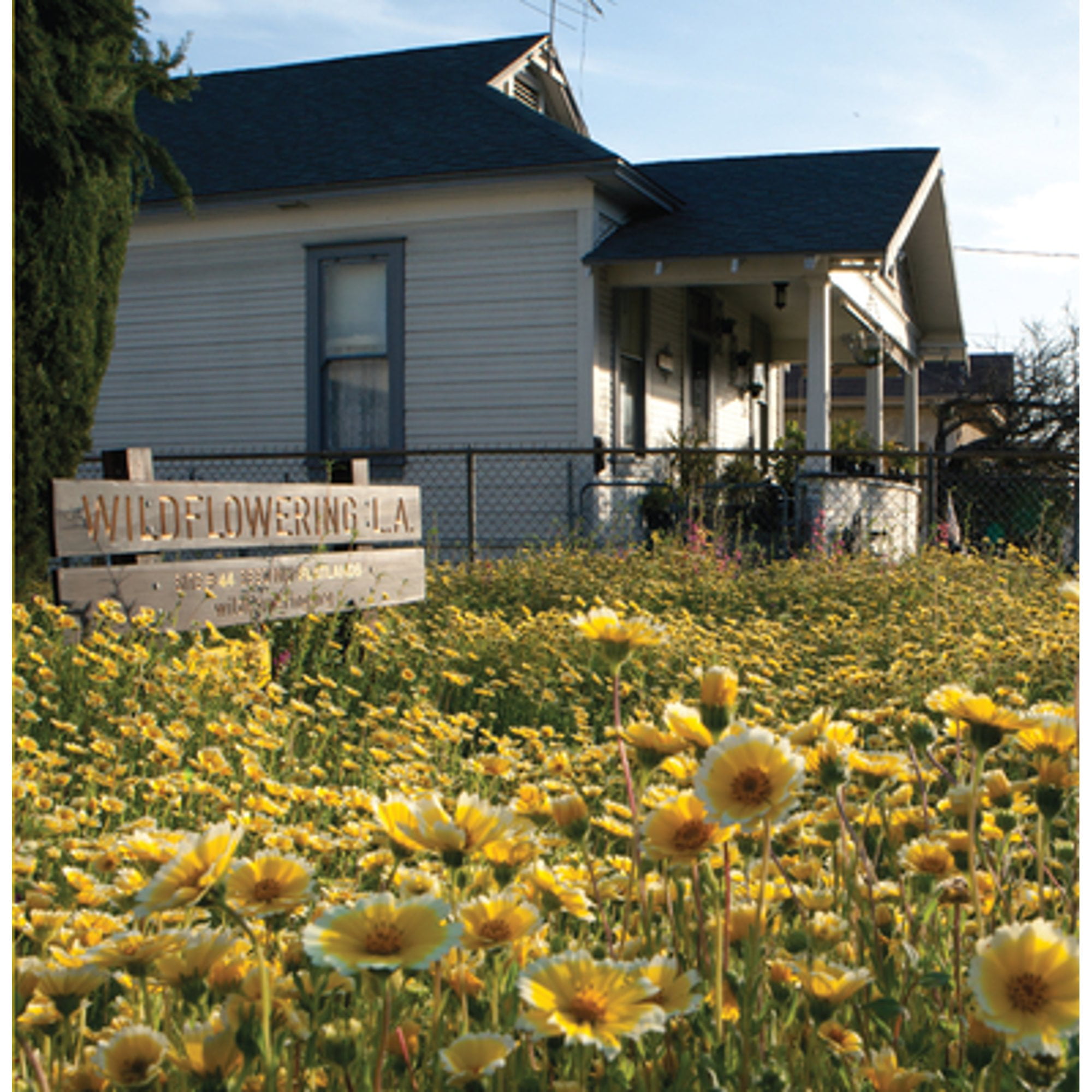 Pre-Owned Fritz Haeg: Wildflowering L.A. (Paperback 9780982757529) by ...