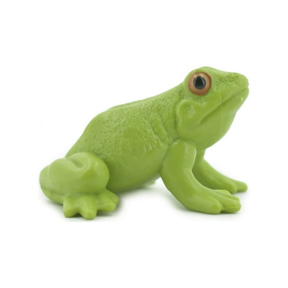 Realistic Frog