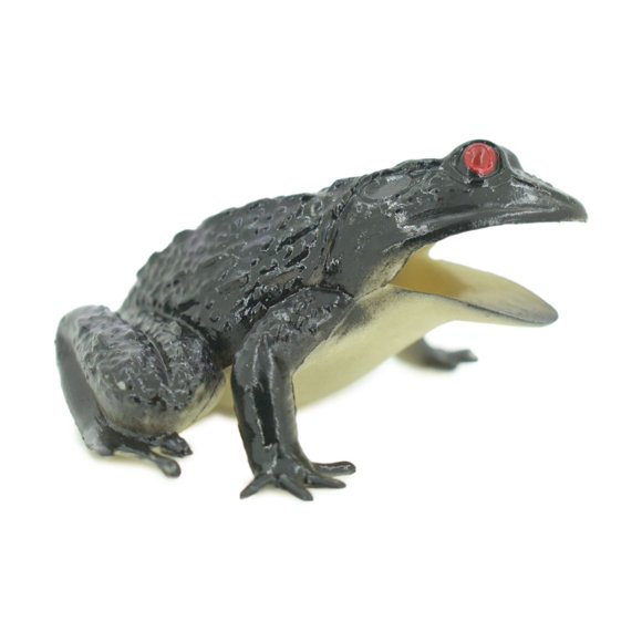 Realistic Frog
