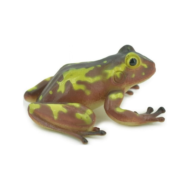 Frog, Brown & Yellow, Amphibians, High Quality, Hand Painted, Rubber ...