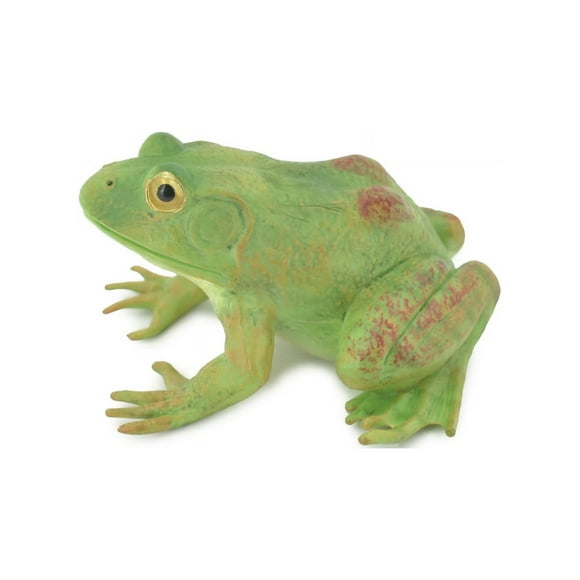 Realistic Frog