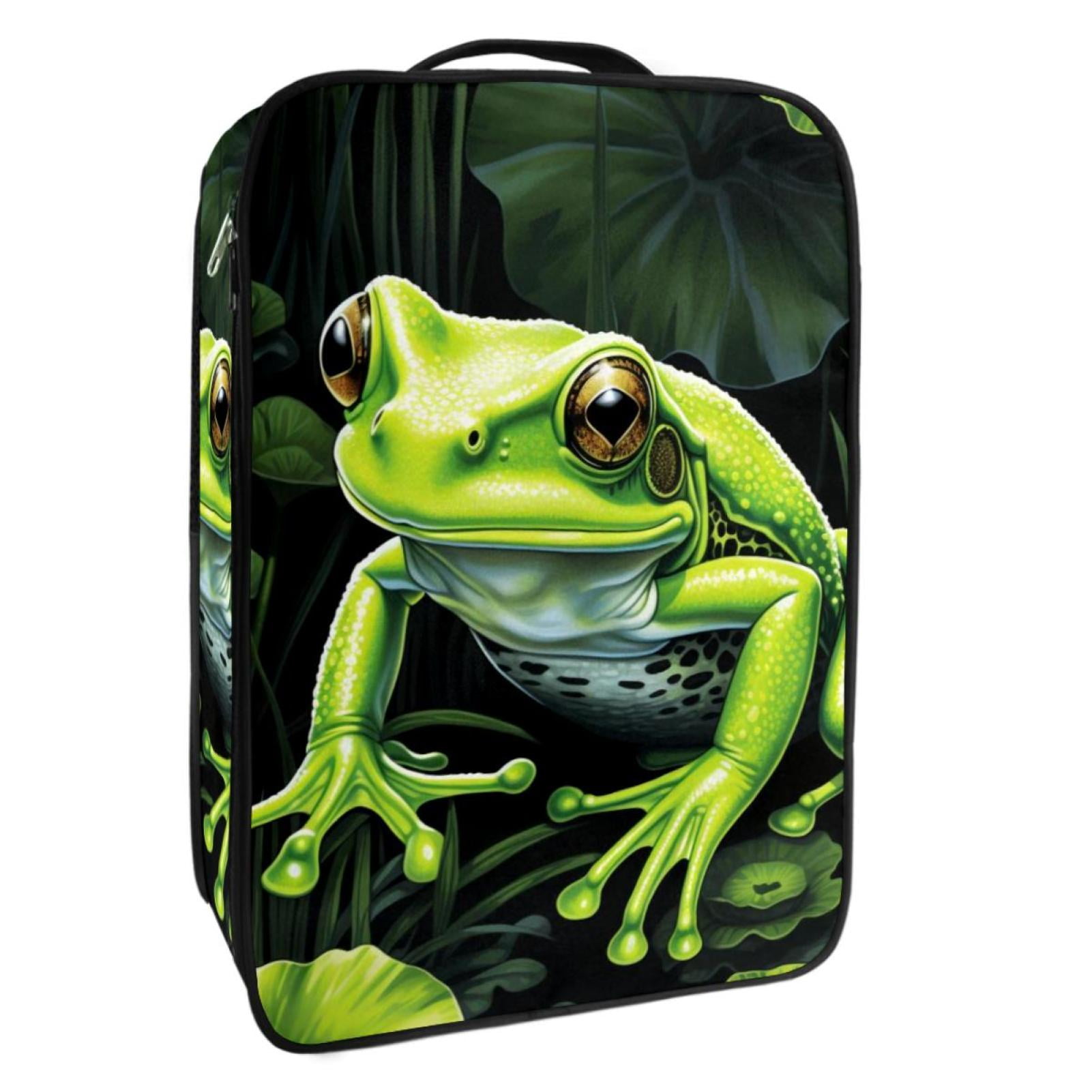 Frog Clear Polyester Shoe Containers - - 23x31cm/9x12in Shoe Storage ...