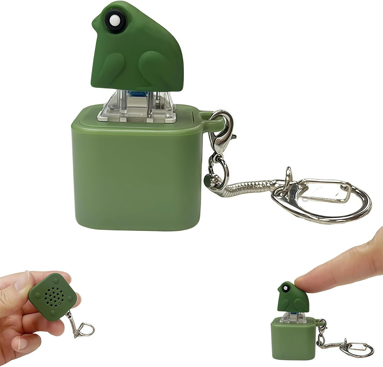 Frog Croaking Fidget Toy – ABS | Clicker Frog Fidget Toy | Keyboard ...