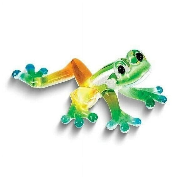 Glass Frogs