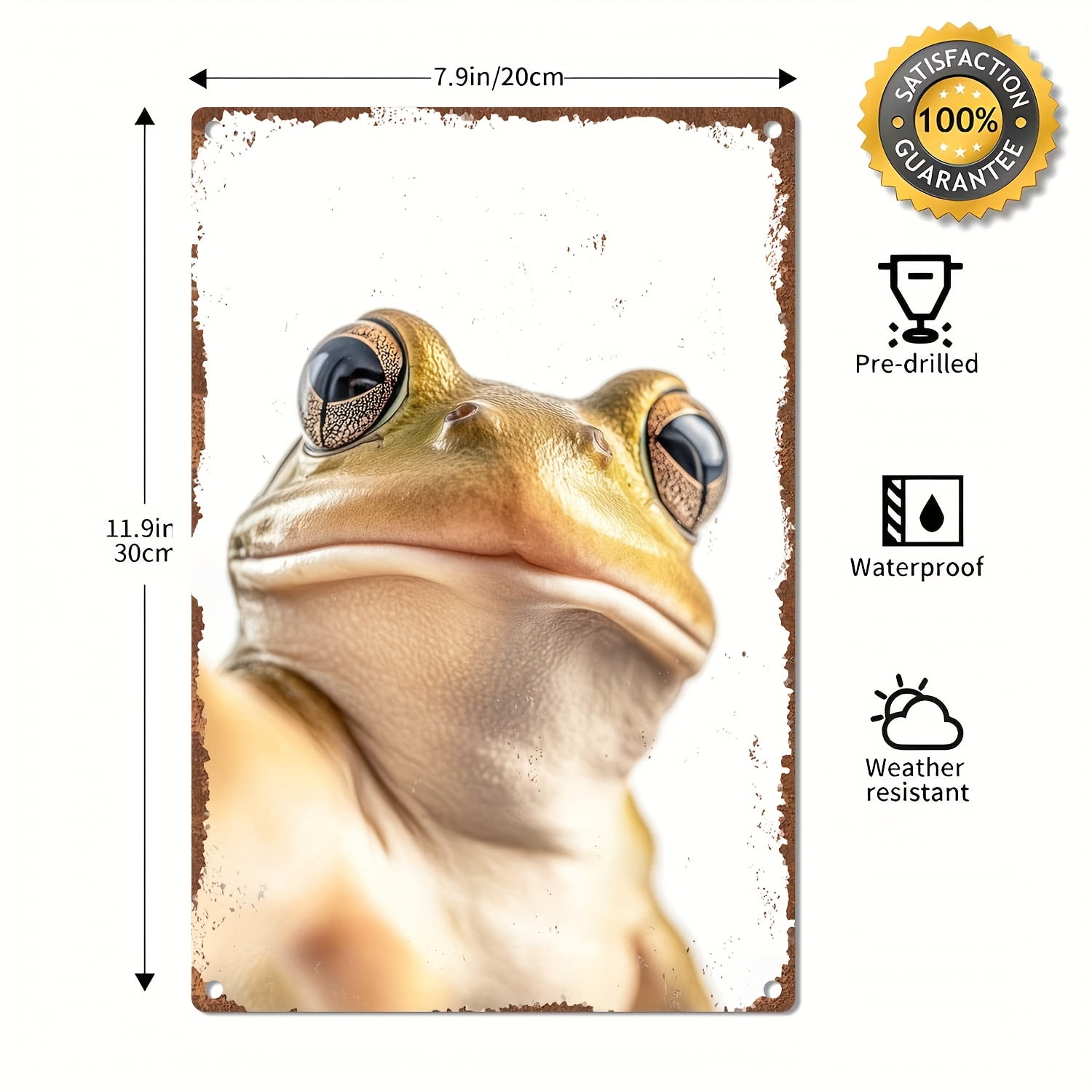 Frog With Golden Eyes And Textured SkinRetro Metal Tin Sign Vintage ...
