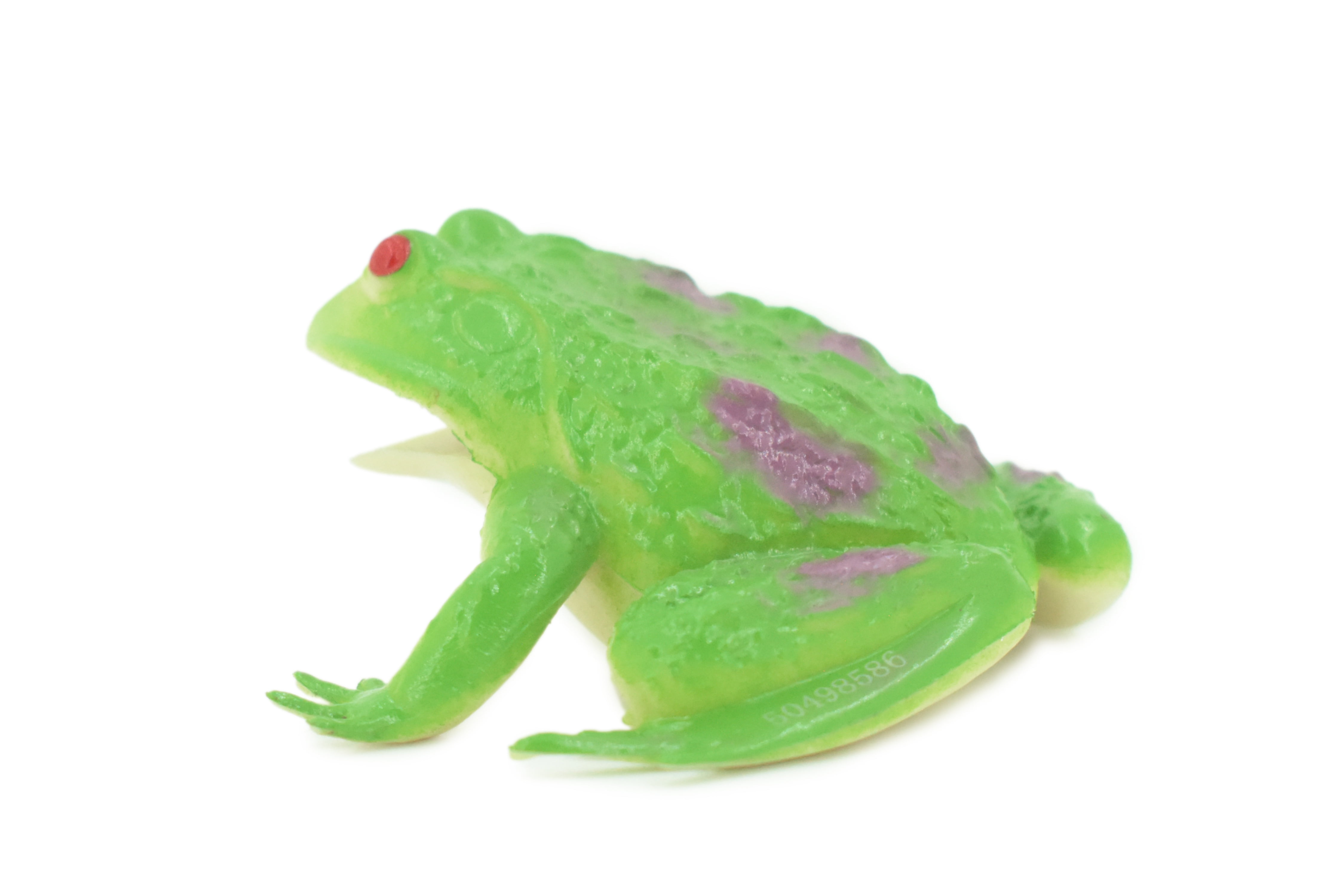 Frog, Green Toad, Rubber Toy, Realistic, Rainforest Amphibian, Figure ...