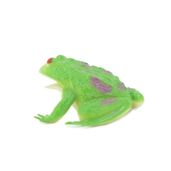 Realistic Frog