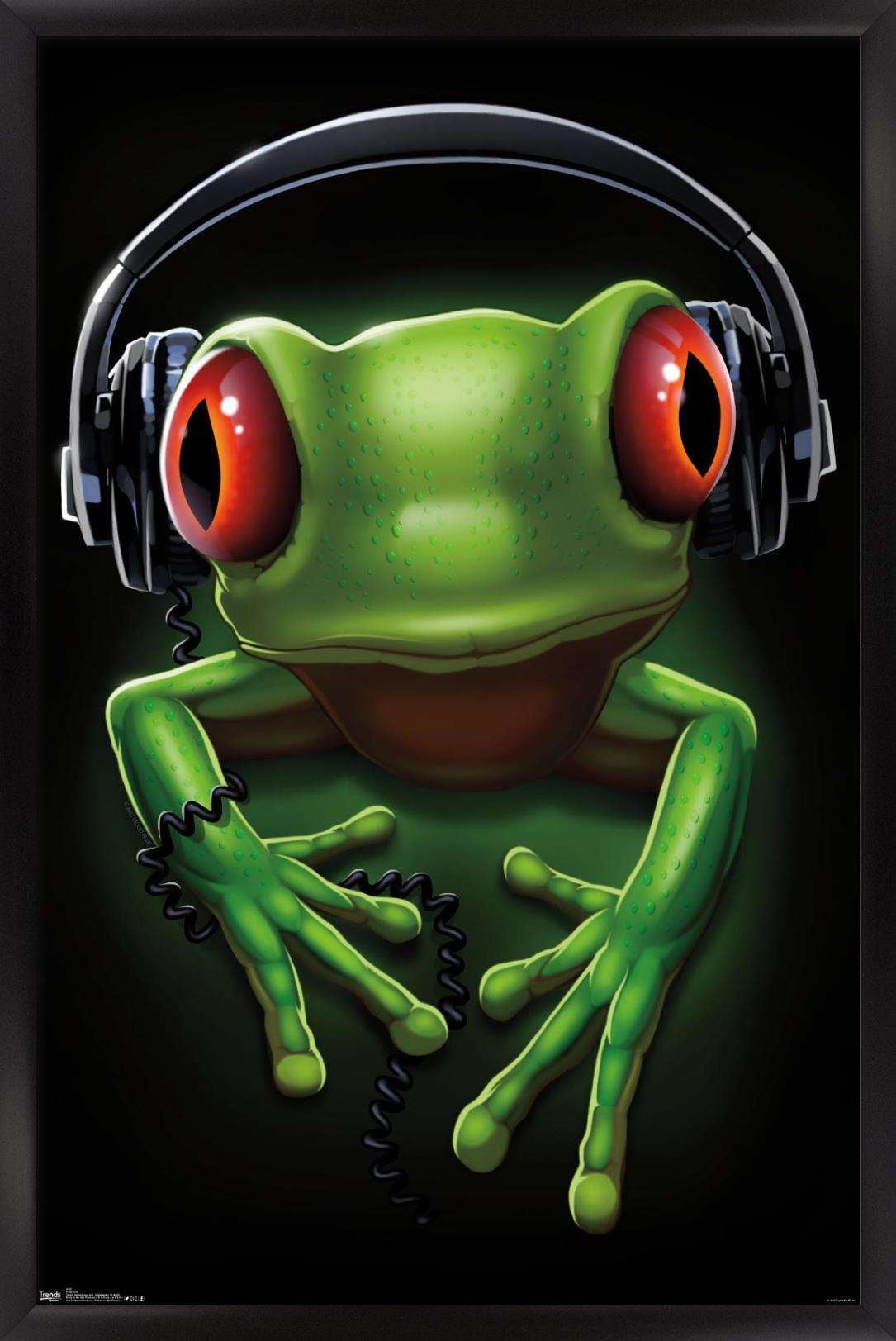 Frog - Headphones Wall Poster, 14.725" x 22.375", Framed - Walmart.com