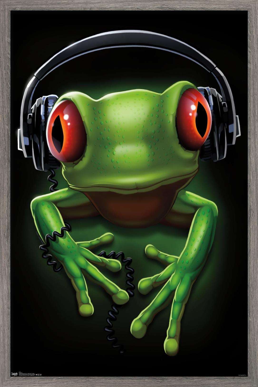 Frog - Headphones Wall Poster, 14.725" x 22.375", Framed - Walmart.com