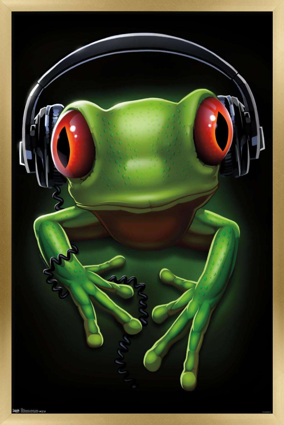 Frog - Headphones Wall Poster, 14.725" x 22.375", Framed - Walmart.com