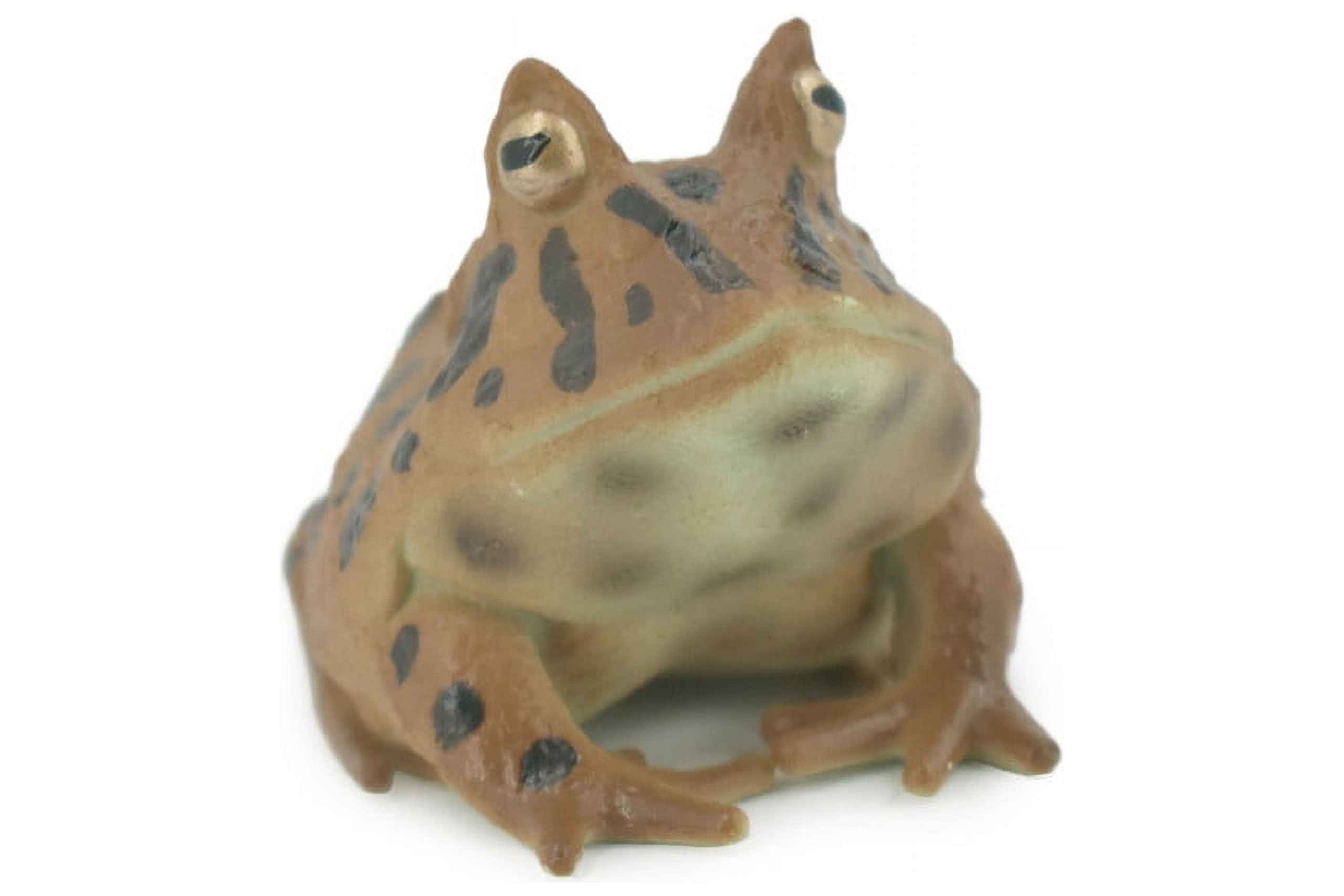 Frog, Horned Frog, Leptodactylidae, Museum Quality, Hand Painted ...