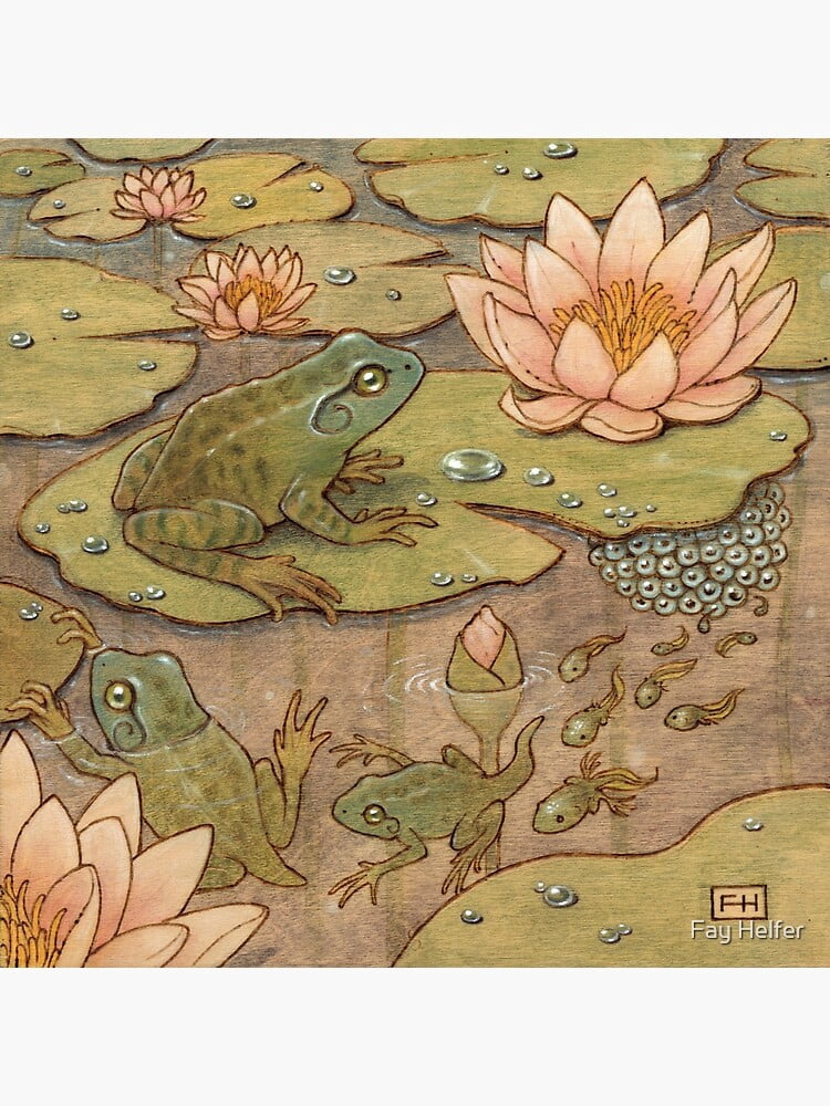 Frog Life Cycle Poster Framed-unframed - Walmart.com
