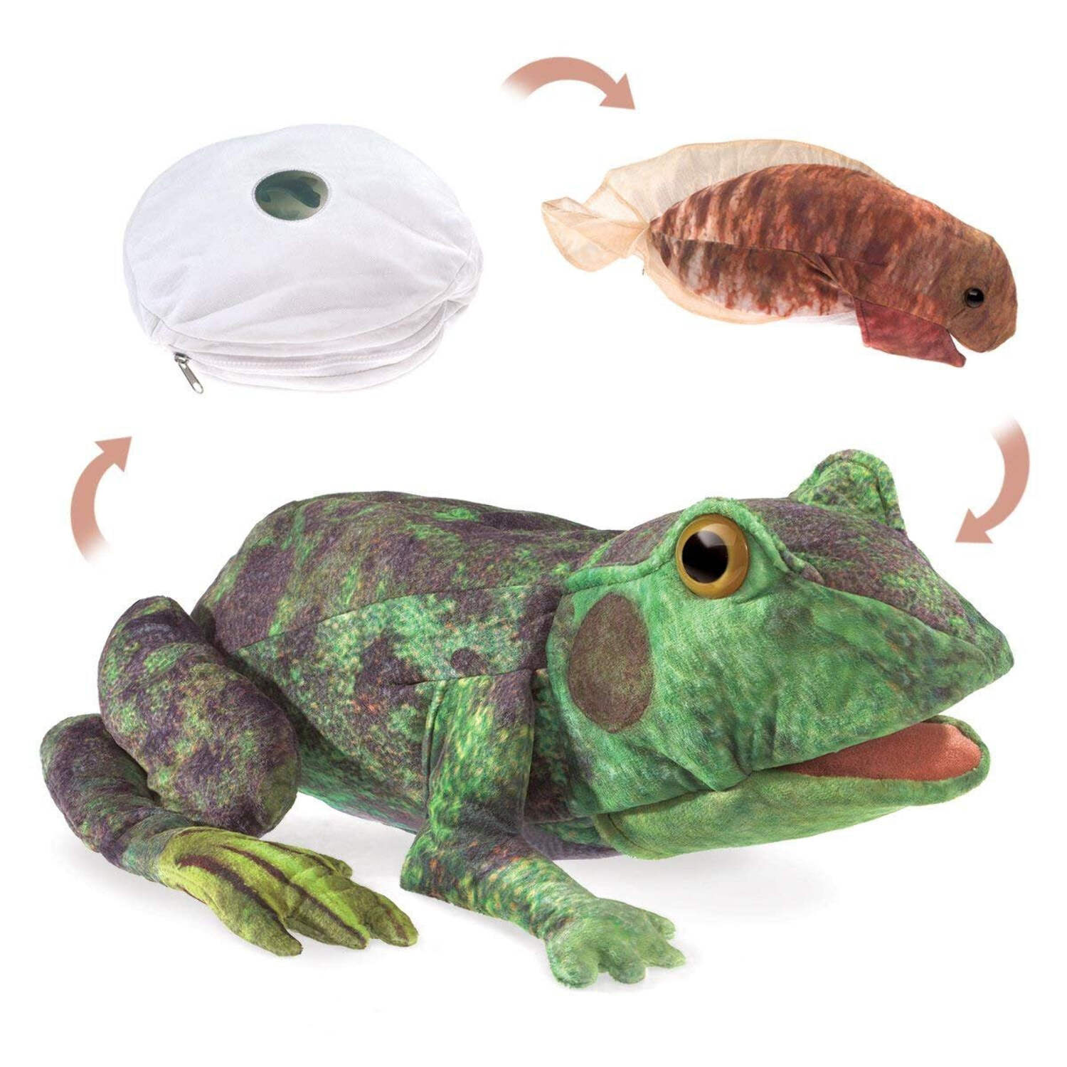 Frog Life Cycle Puppet 14 inch - Walmart.com
