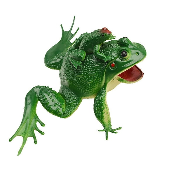 Realistic Frog