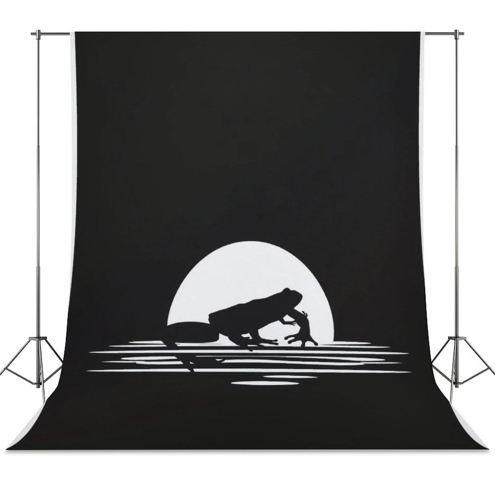 Frog Moon Silhouette Party Backdrop Birthday Decoration Backgrounds for ...