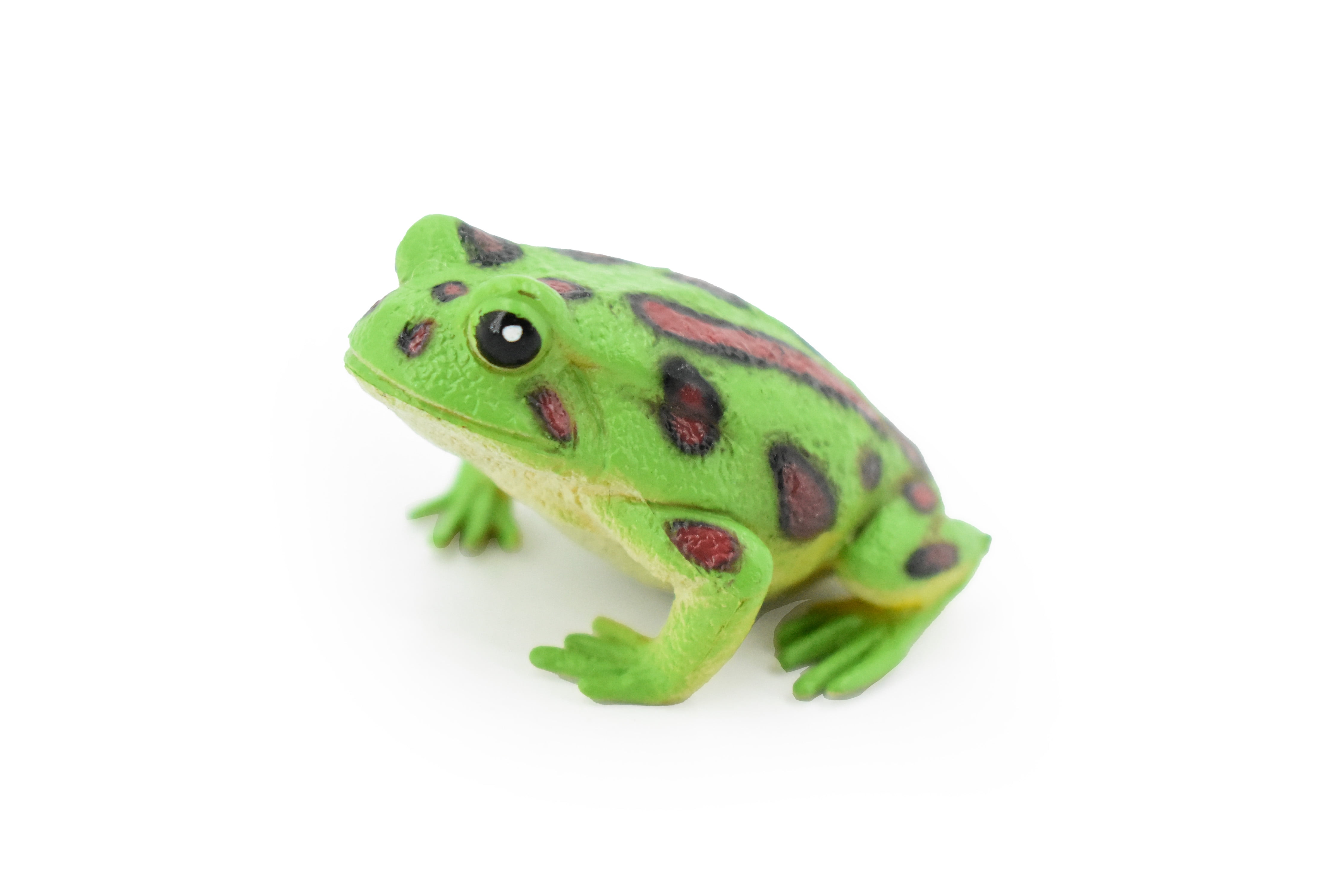 Frog Northern Leopard Frog Spotted Green Plastic Toy Realistic ...