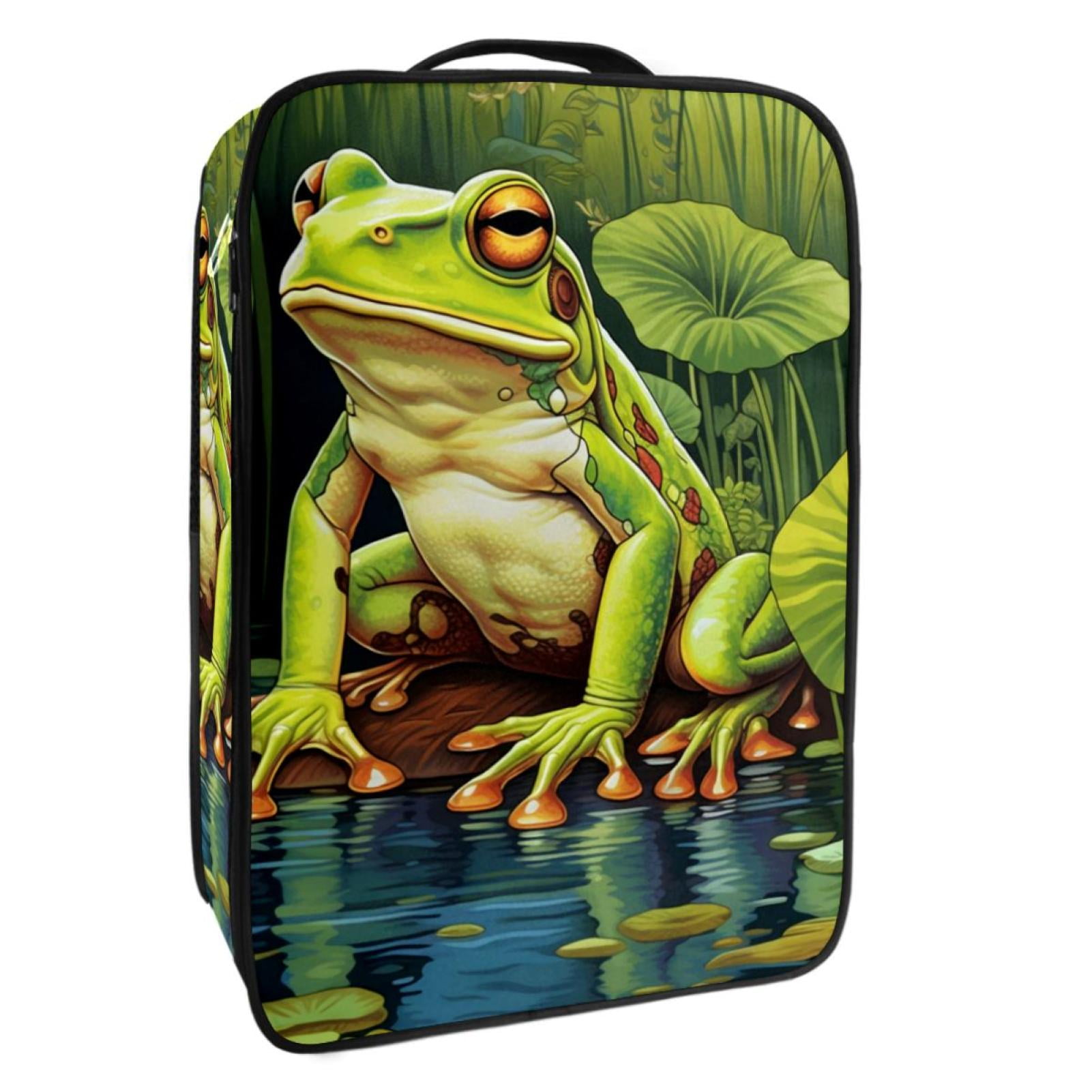 Frog Polyester Shoe Box, 23x31cm/9x12in: Organizer & Storage Solution ...