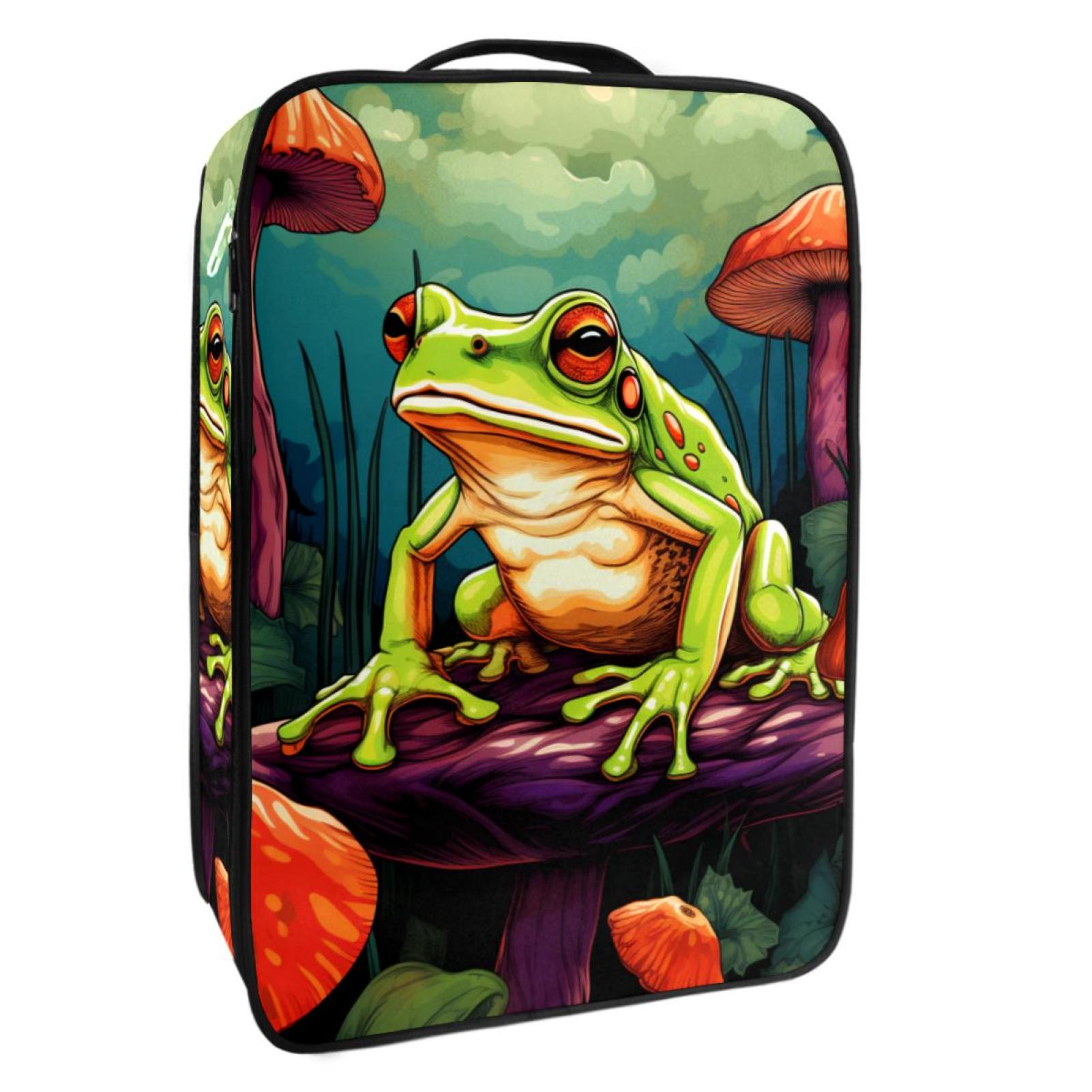 Frog Polyester Shoe Boxes Organizer for Closet Storage - 23x31cm/9x12in ...