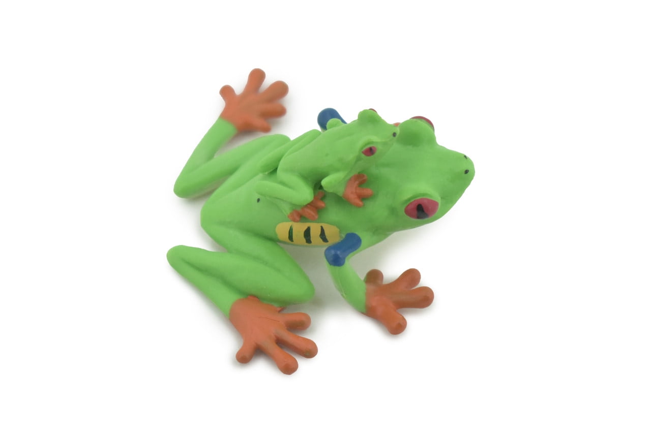 Frog, Red Eyed Tree Frog, with Baby, Museum Quality, Rubber, Amphibian ...