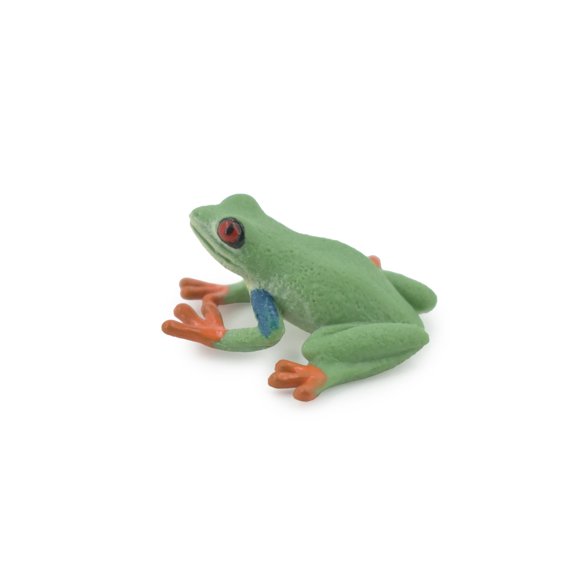 Realistic Frog