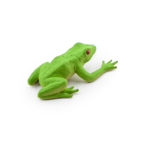 Realistic Frog