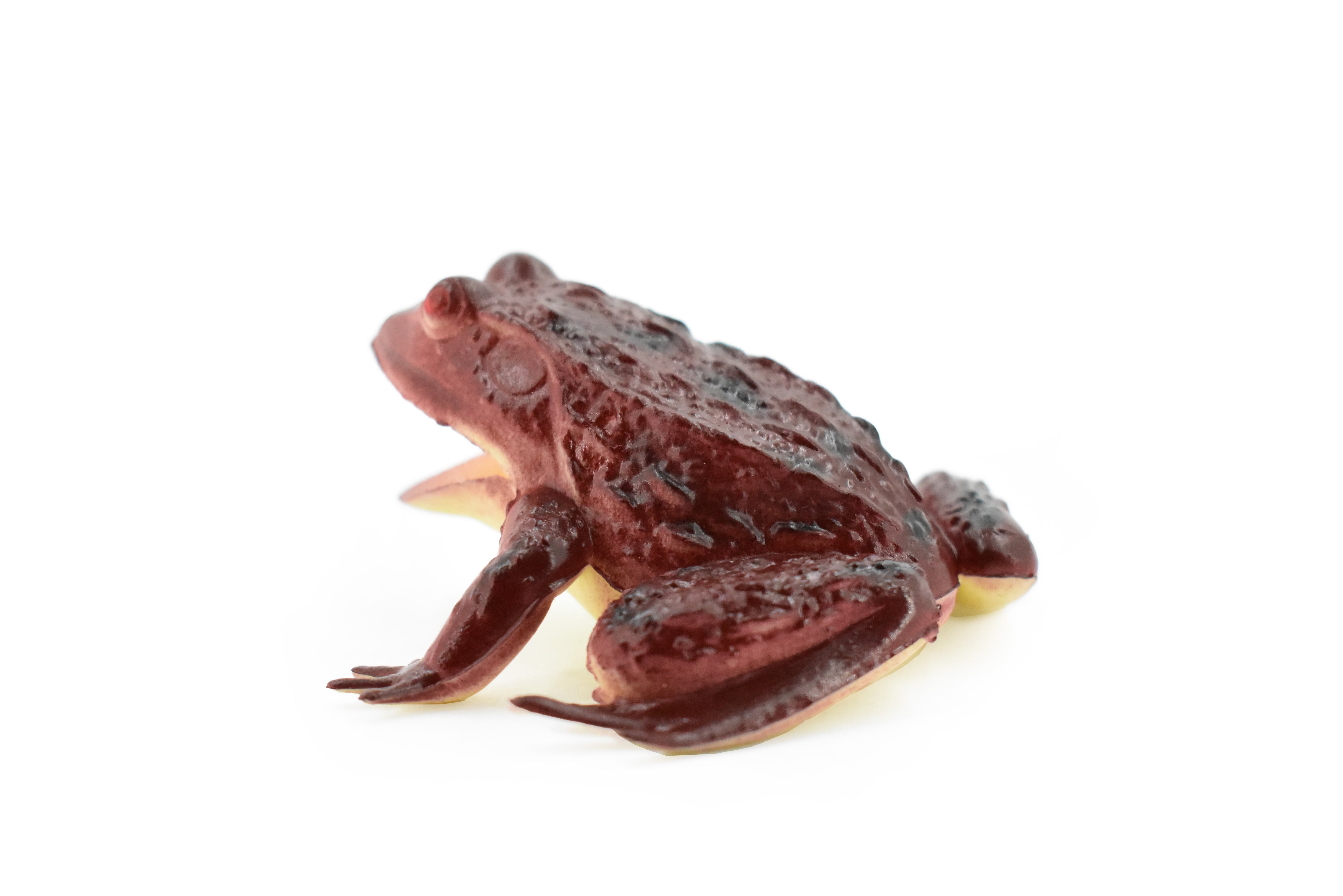 Frog, Red Frog Realistic Garden Rainforest Figure Model Replica Kids ...