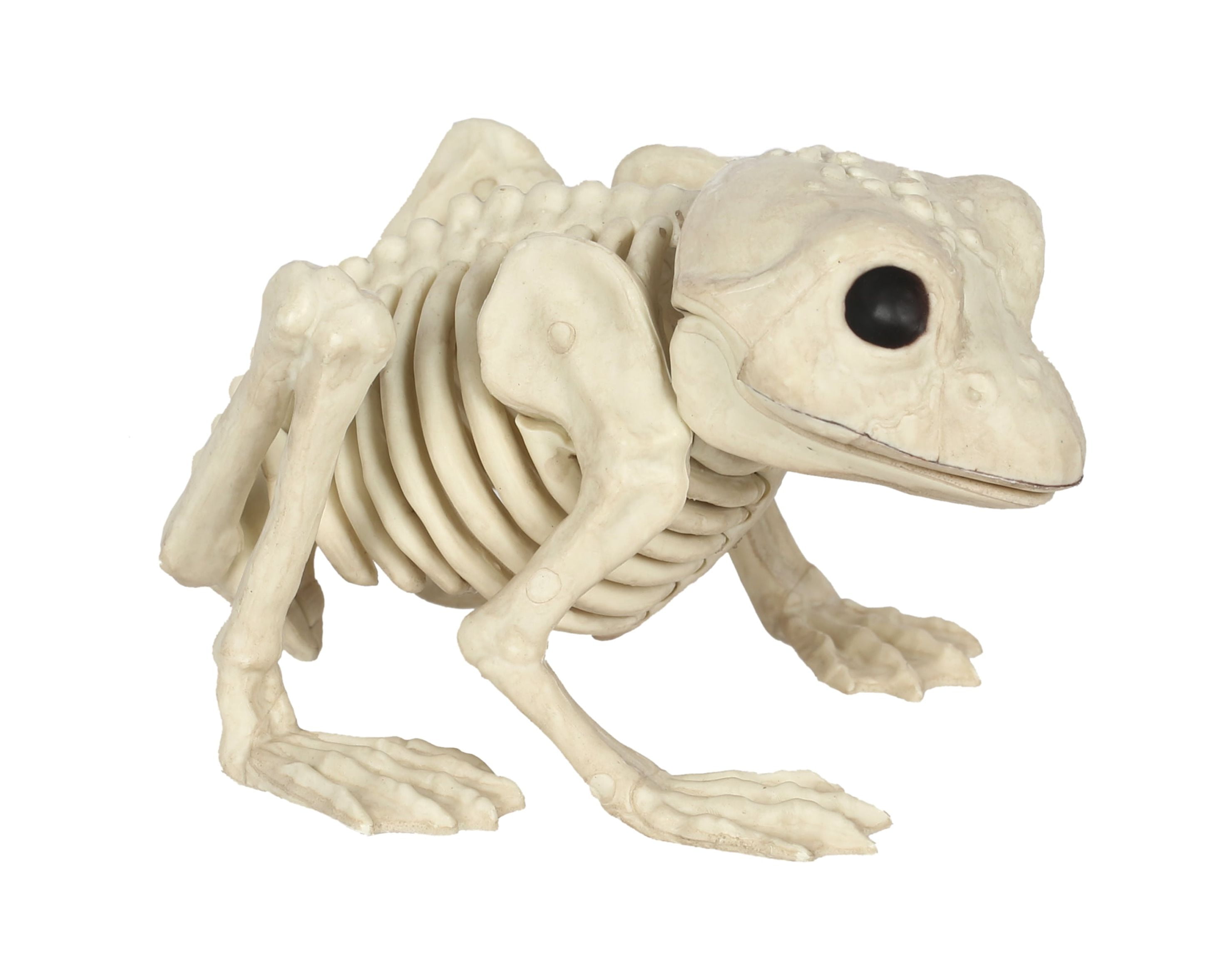 Frog Skeleton Halloween Decoration - Walmart.com