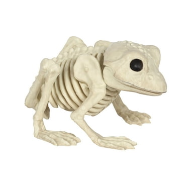 Outdoor Skeleton Turtle Animal Decor for Halloween, Approx. 2x4.5x7.75 ...