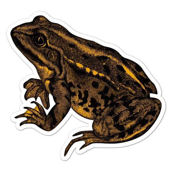 Frog Sticker Indoor Outdoor Phone Decal Water Bottle Stickers Car ...