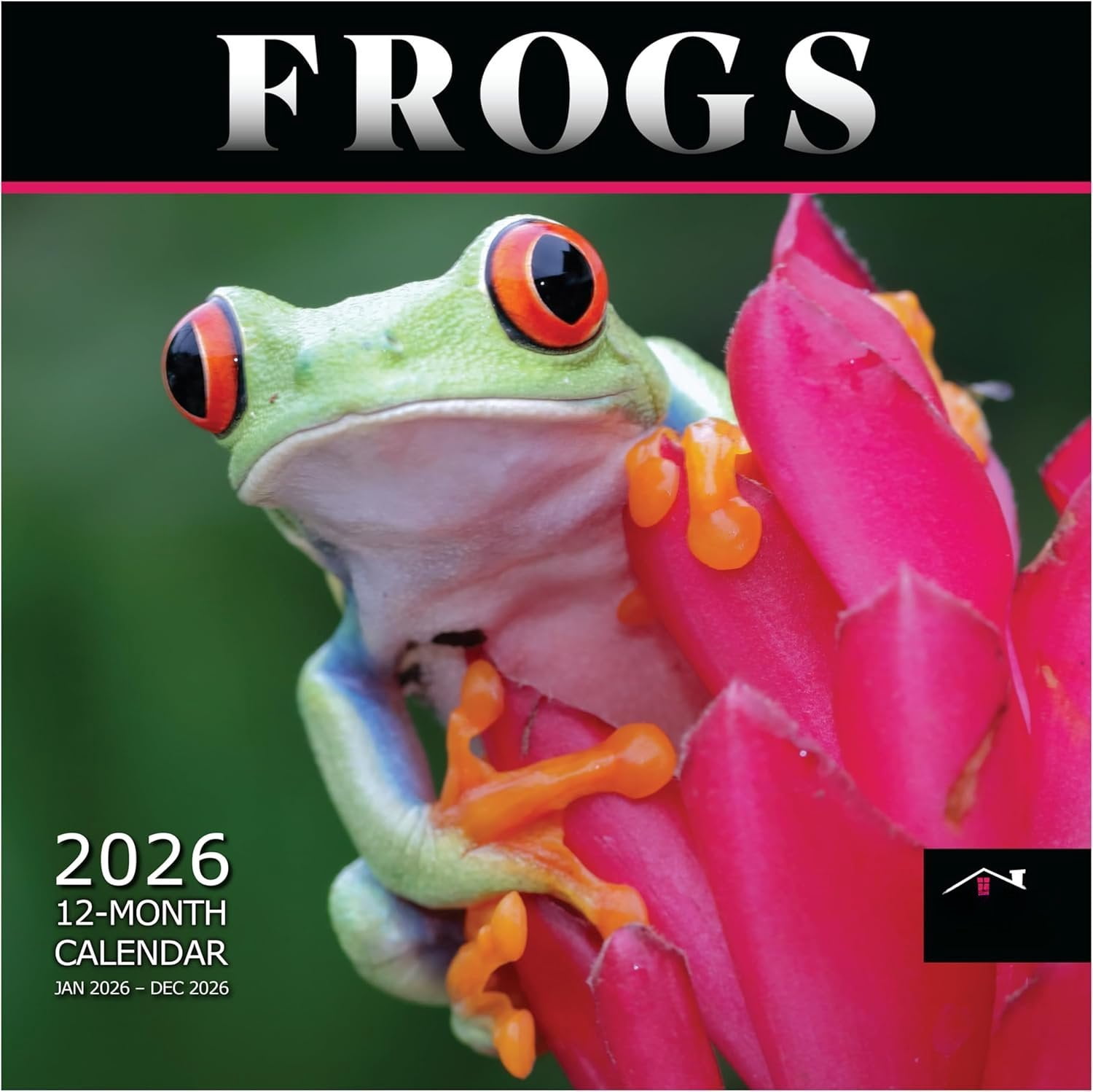 Frogs 2026 Wall Calendar 12 Month | 12" x 24" Open | Thick & Sturdy ...