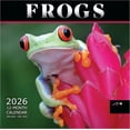 Frogs 2026 Wall Calendar 12 Month | 12" x 24" Open | Thick & Sturdy ...
