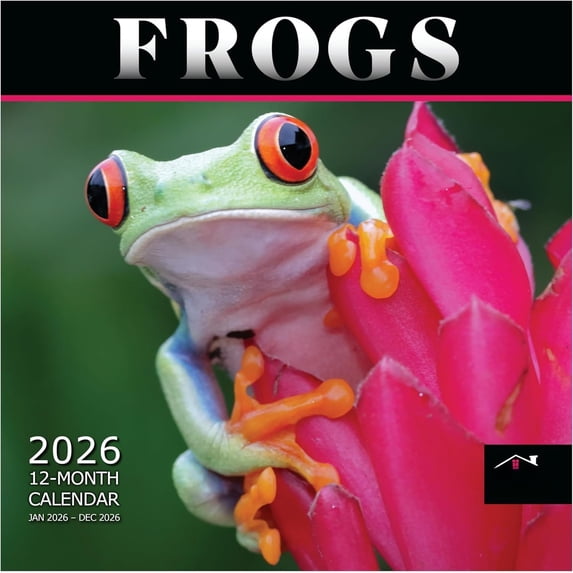 Frogs 2026 Wall Calendar 12 Month | 12" x 24" Open | Thick & Sturdy ...