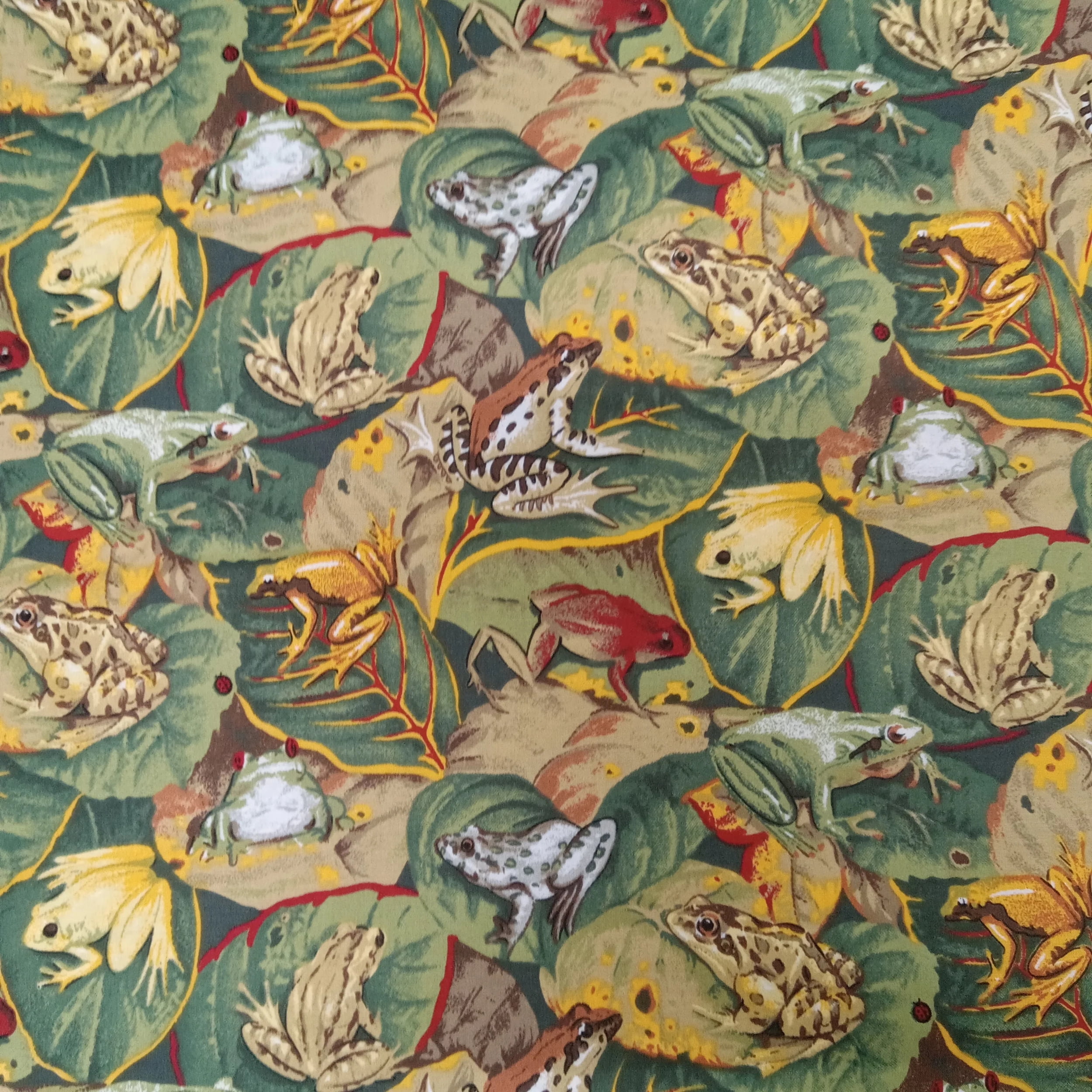 Frogs Allover Cotton Fabric - Walmart.com