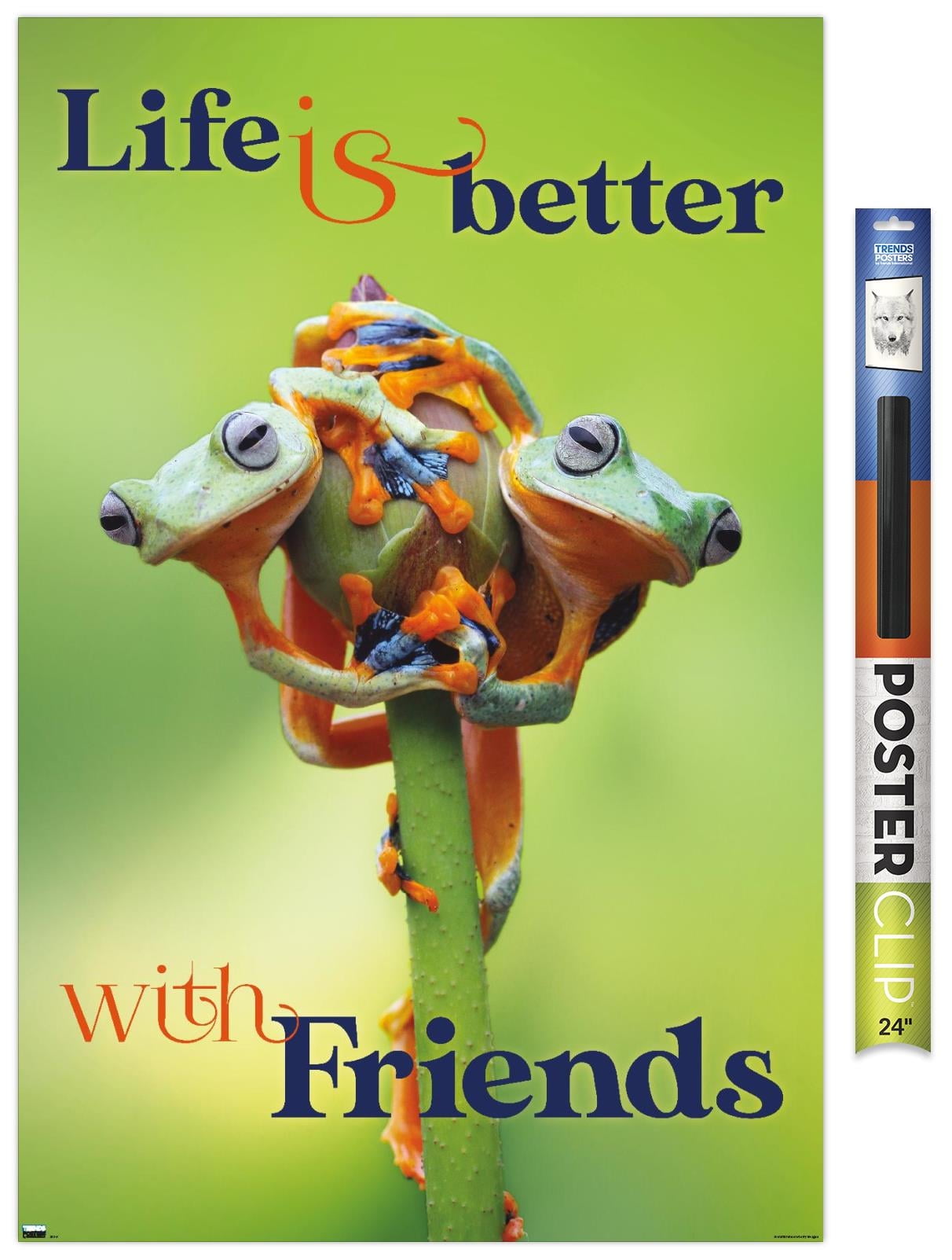 Frogs - Duo Wall Poster, 22.375" x 34" - Walmart.com