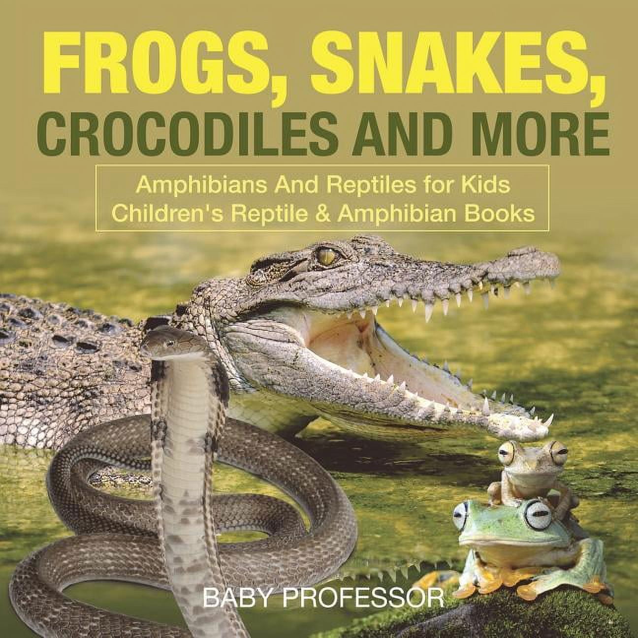 Frogs, Snakes, Crocodiles and More Amphibians And Reptiles for Kids ...