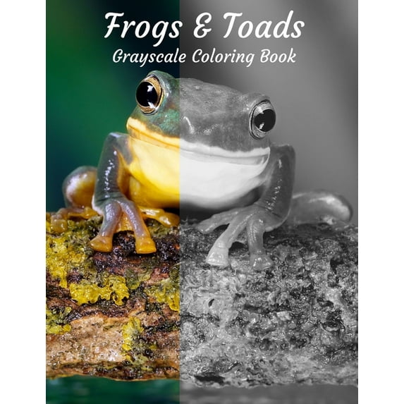 Frogs & Toads Grayscale Coloring Book (Paperback) - Walmart.com