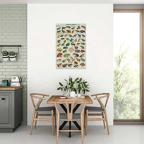 Frogs & Toads of the World Educational Science Classroom Chart Print ...