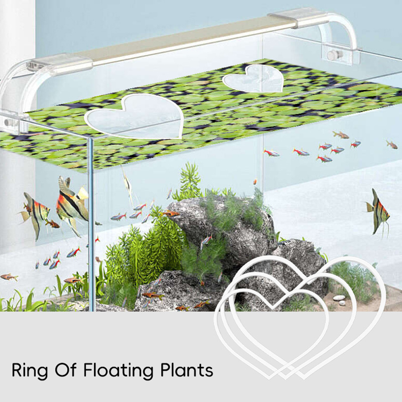 Frogued 5Pcs Aquarium Floating Plant Ring Heart Shaped Fish Feeding ...