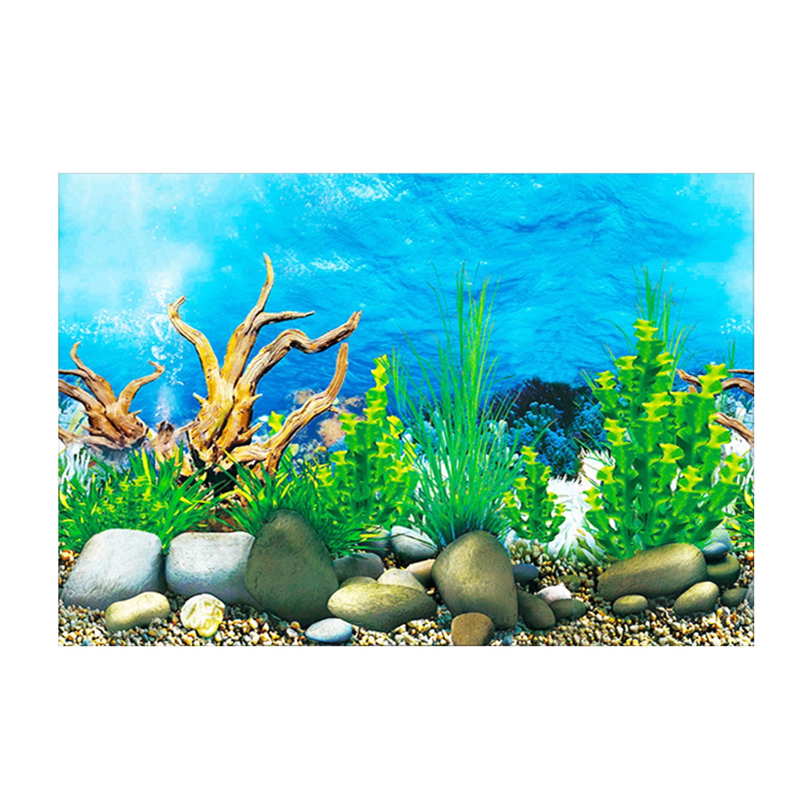 Frogued Aquarium Background Double Sided 3D Effect Clear Print ...
