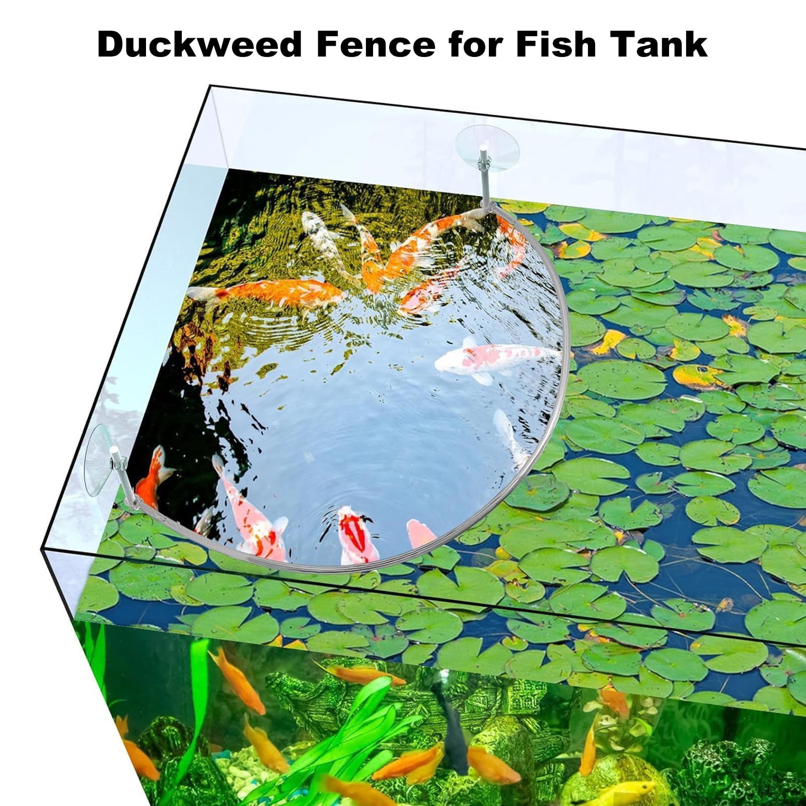 Frogued Aquarium Floating Plant Corral Floating Plant Fence Aquatic ...