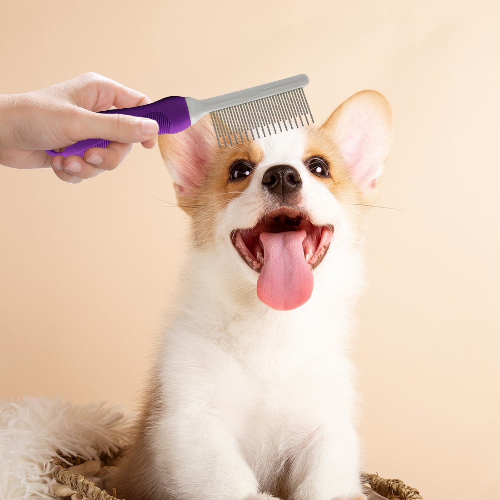 Frogued Detangling Pet Comb for Dog Cat Stainless Steel Teeth Ergonomic ...