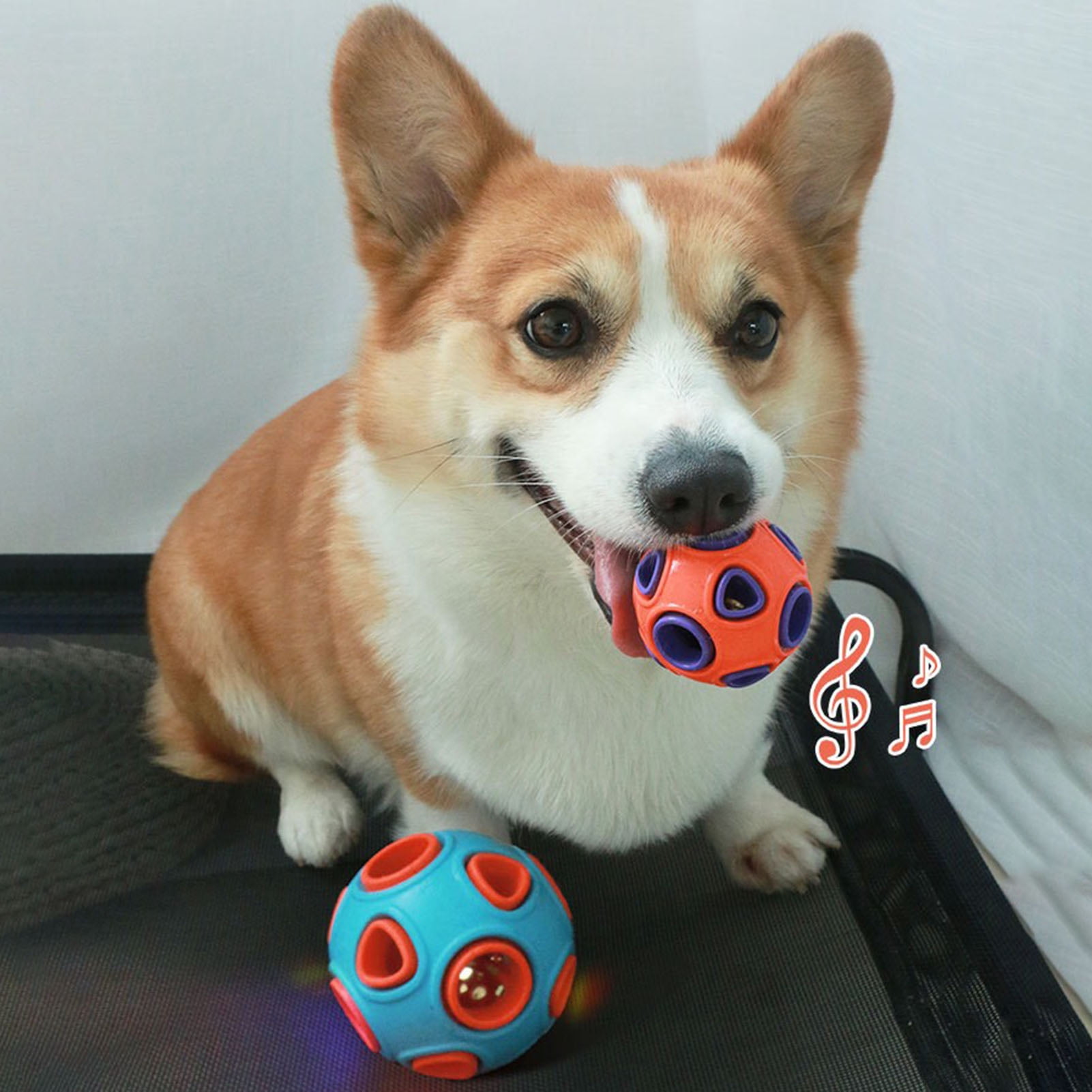 Frogued Dog Balls with Bell Sound Rubber Bouncy Fetch Ball Chew ...